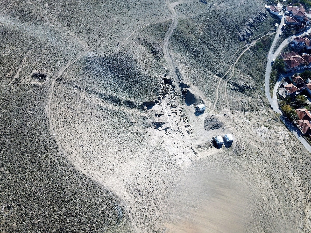 The jaw of a big cat featured in ancient shows has been found ...