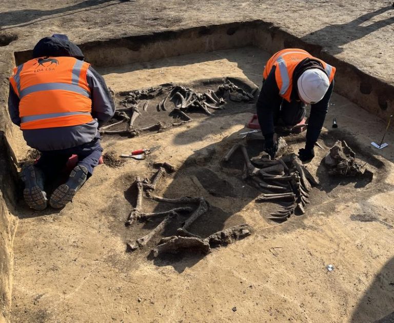 LDA Archaeologists discover two monumental mounds with wooden burial ...