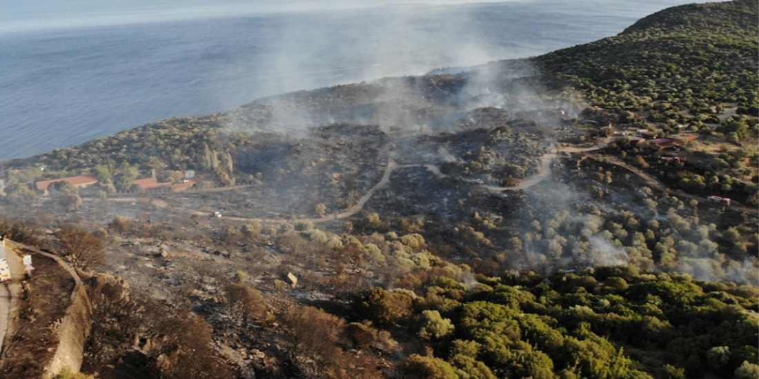 Fire in Çanakkale also affected Assos Ruins and Athena Temple ...