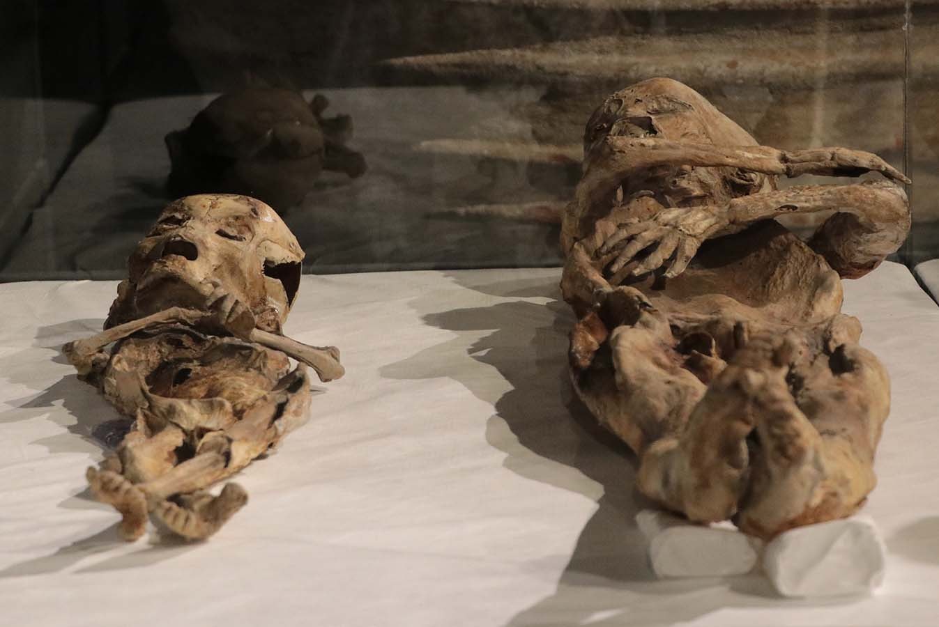 Two child mummies thought to be from the Eastern Roman period are ...