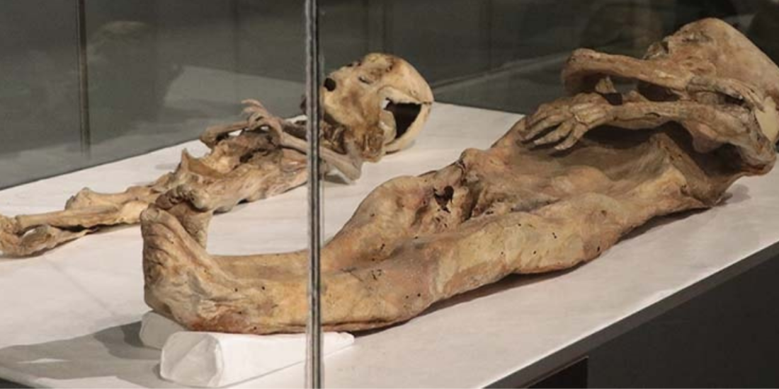 Two child mummies thought to be from the Eastern Roman period are ...